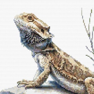 Bearded Dragon Lizard Cross Stitch Pattern - Detailed Reptile Design ...