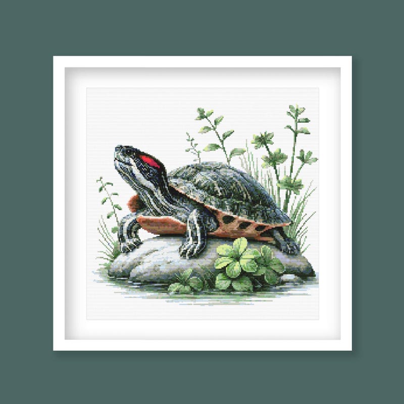 Turtle Cross Stitch - Etsy