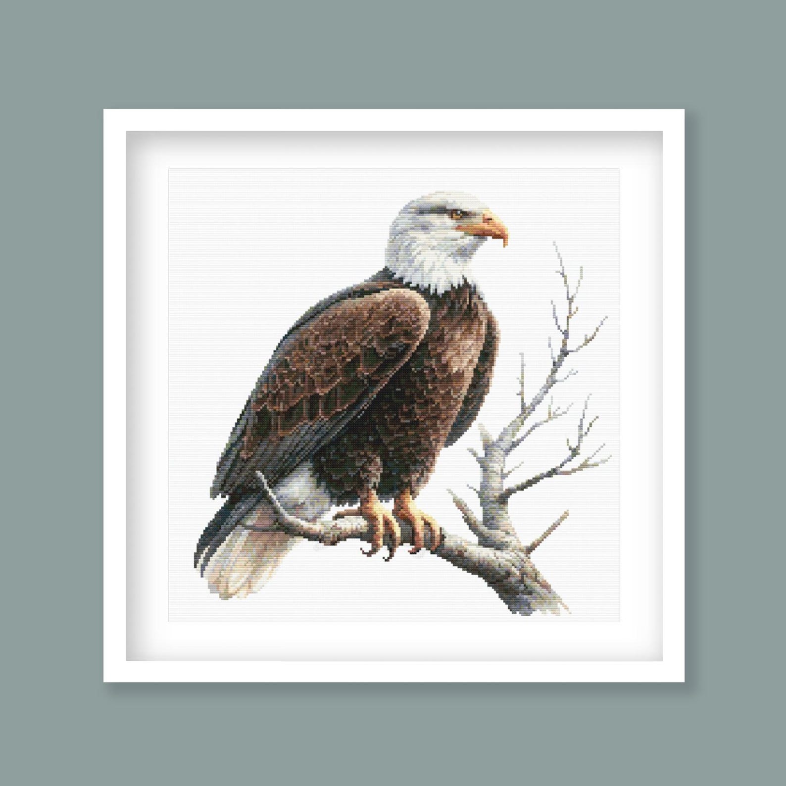 Bald Eagle Cross Stitch Pattern, American Wildlife Bird Embroidery ...