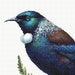 Tui Cross Stitch Pattern. New Zealand Bird Cross-stitch Pattern. Native ...