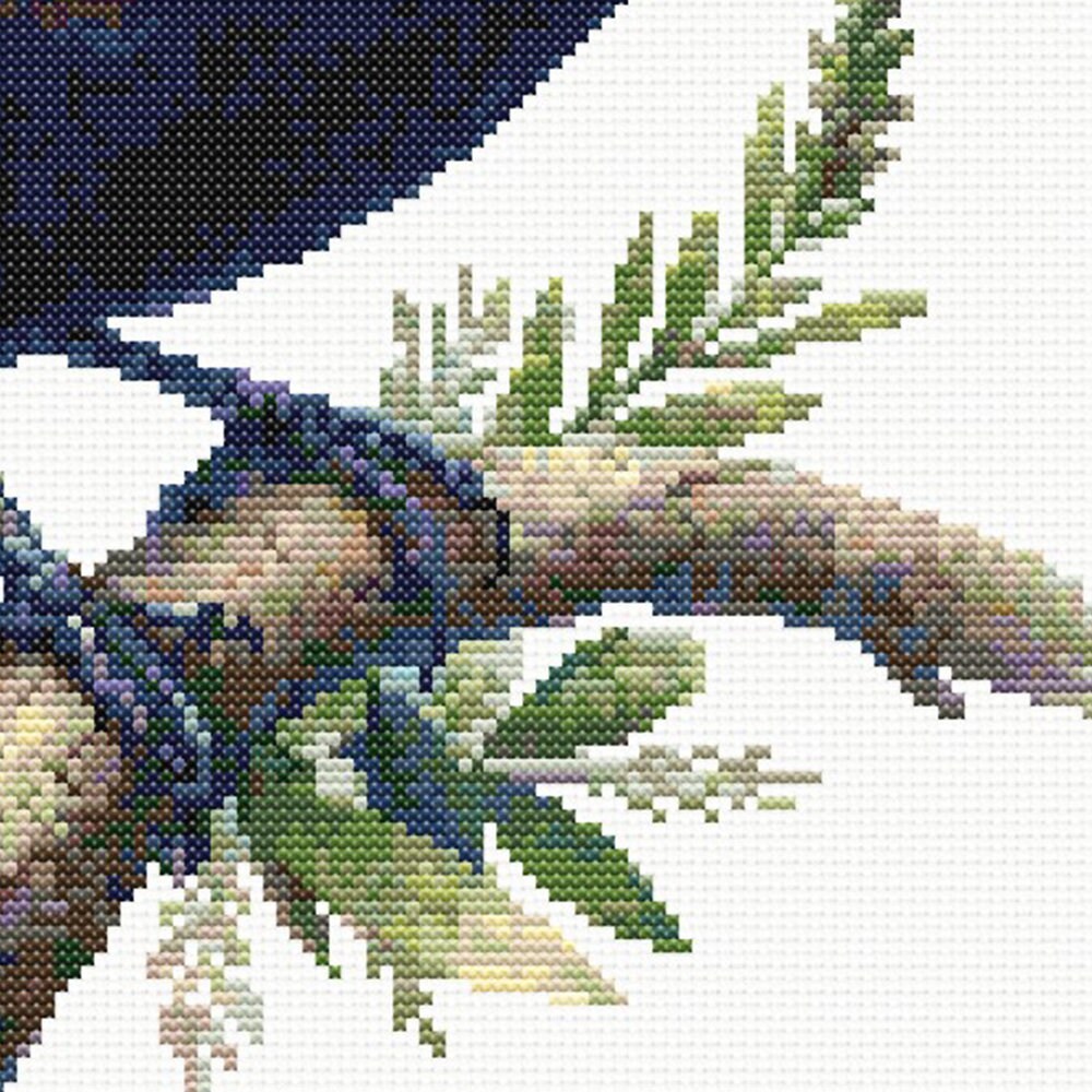 New Zealand Tui Cross Stitch Pattern. Native Bird Cross-stitch Pattern ...