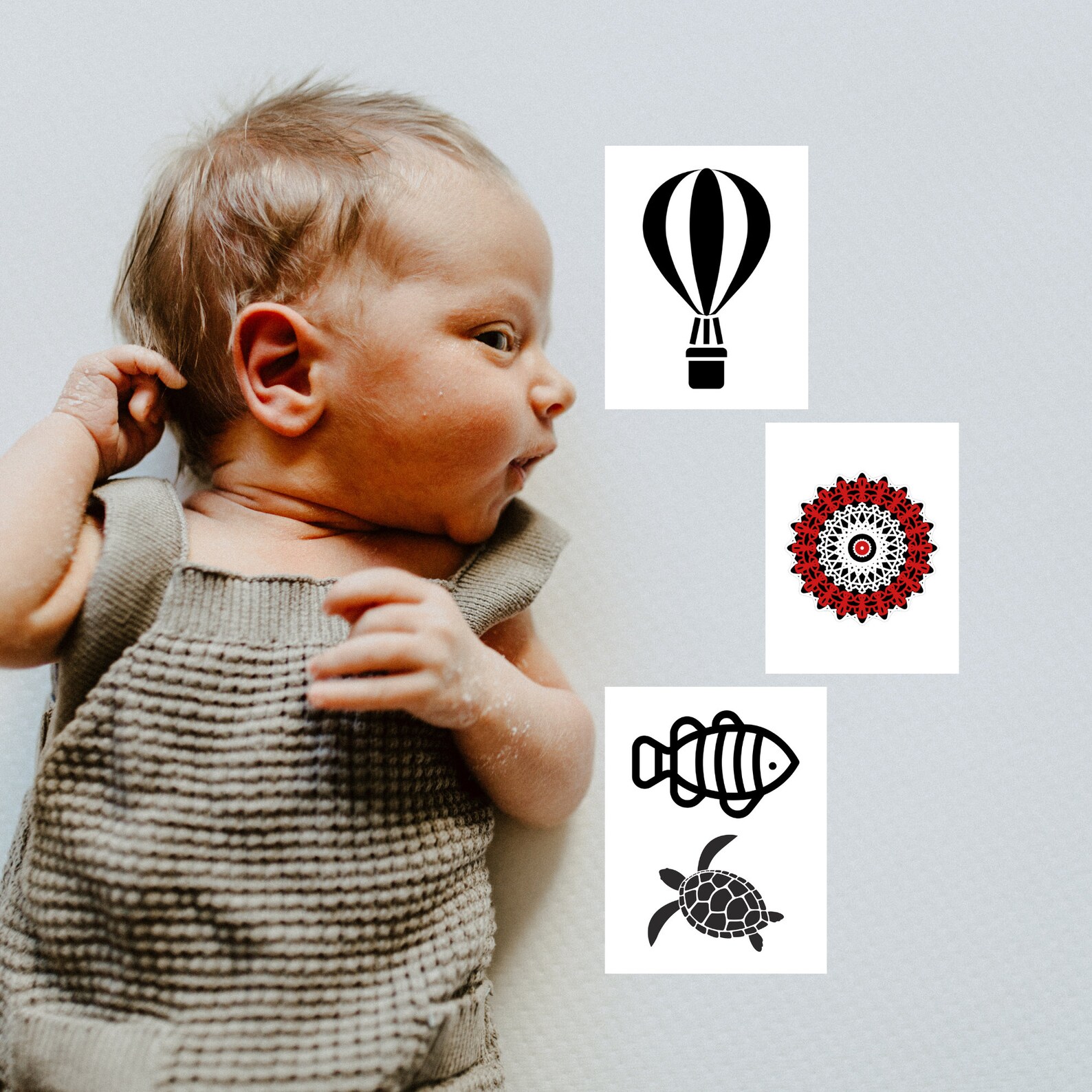 Black and White High Contrast Images Newborn Stimulation Infant ...