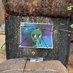 Alien Archery Target - Etsy