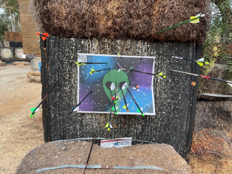 Alien Archery Target - Etsy