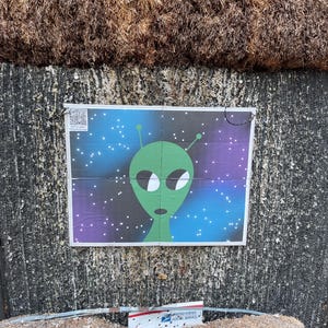 Alien Archery Target - Etsy