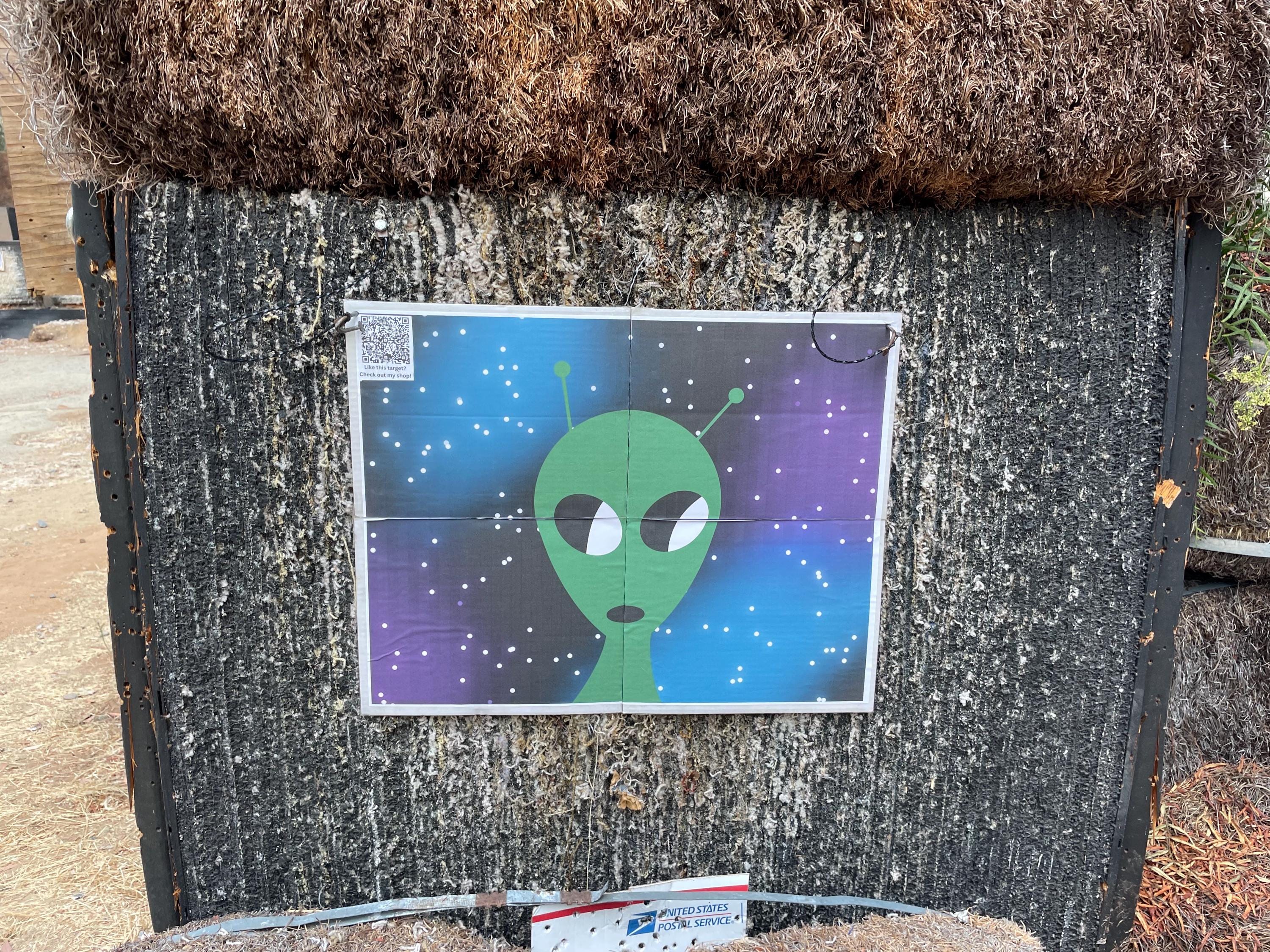 Alien Archery Target - Etsy
