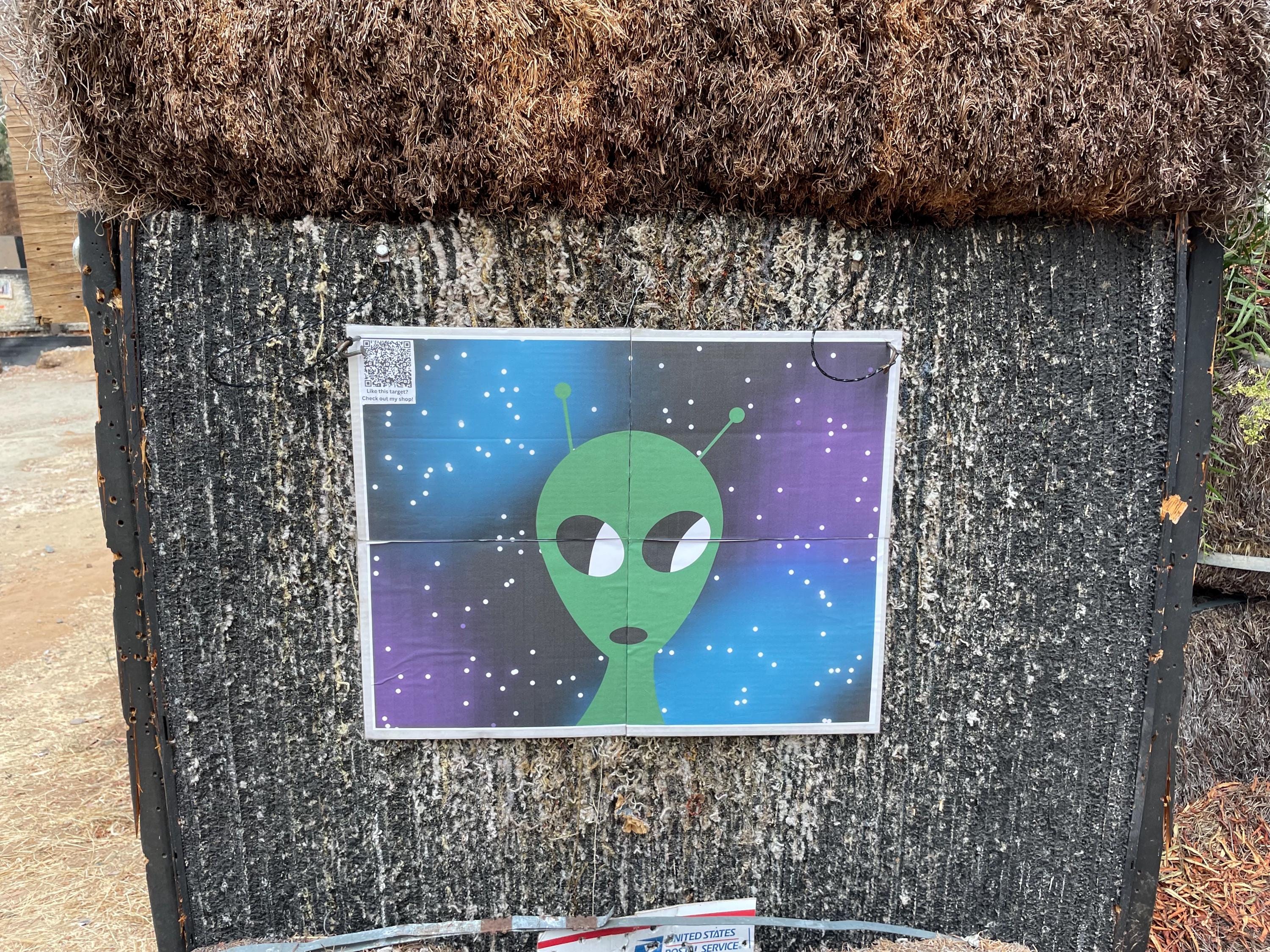 Alien Archery Target - Etsy