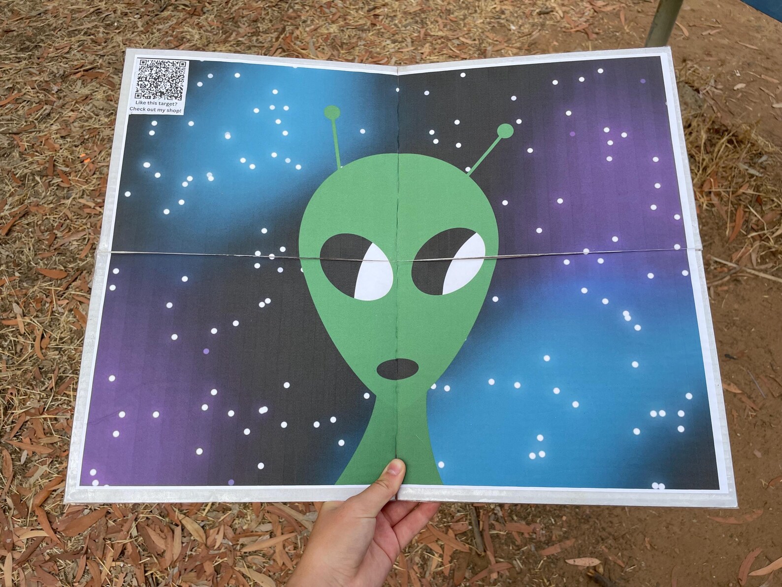 Alien Archery Target - Etsy