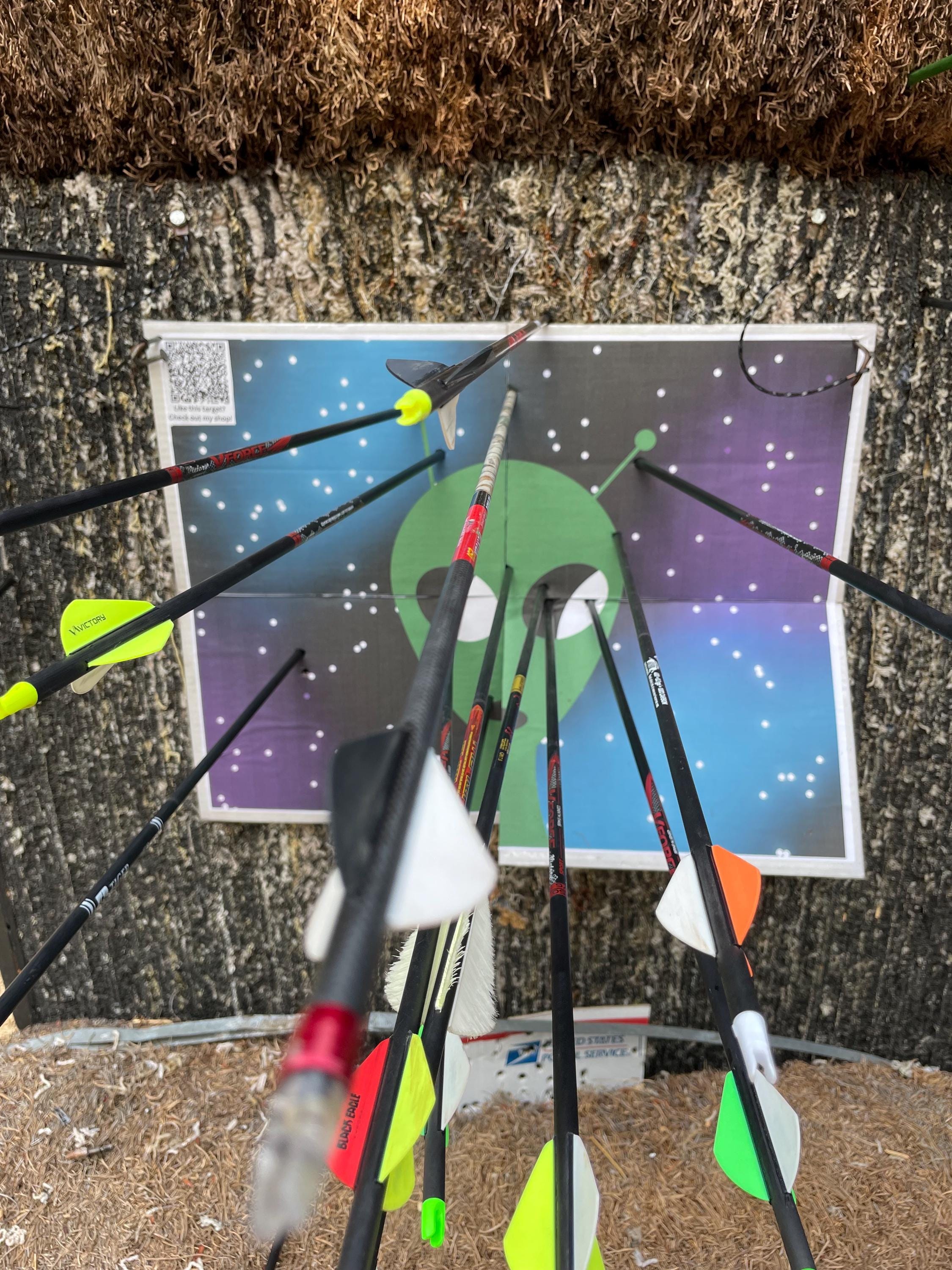 Alien Archery Target - Etsy