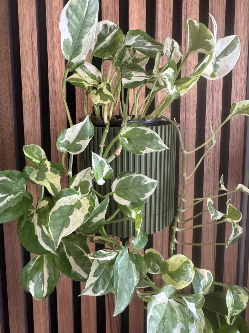 Acoustic Panels Pot Planter - Hidden Drip Tray - No Drilling - Etsy