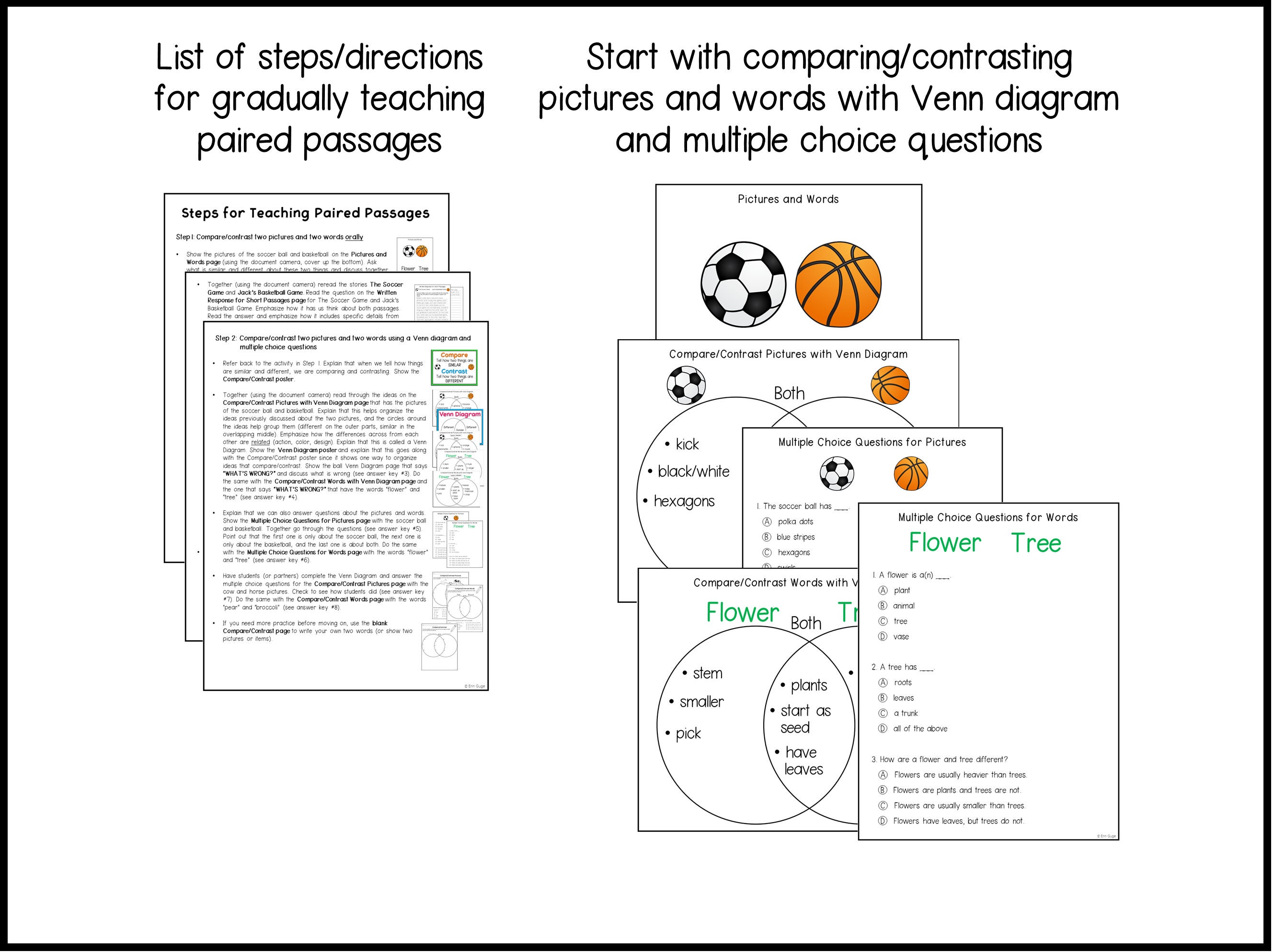 Paired Passages Using the RACE Writing Strategy - Etsy