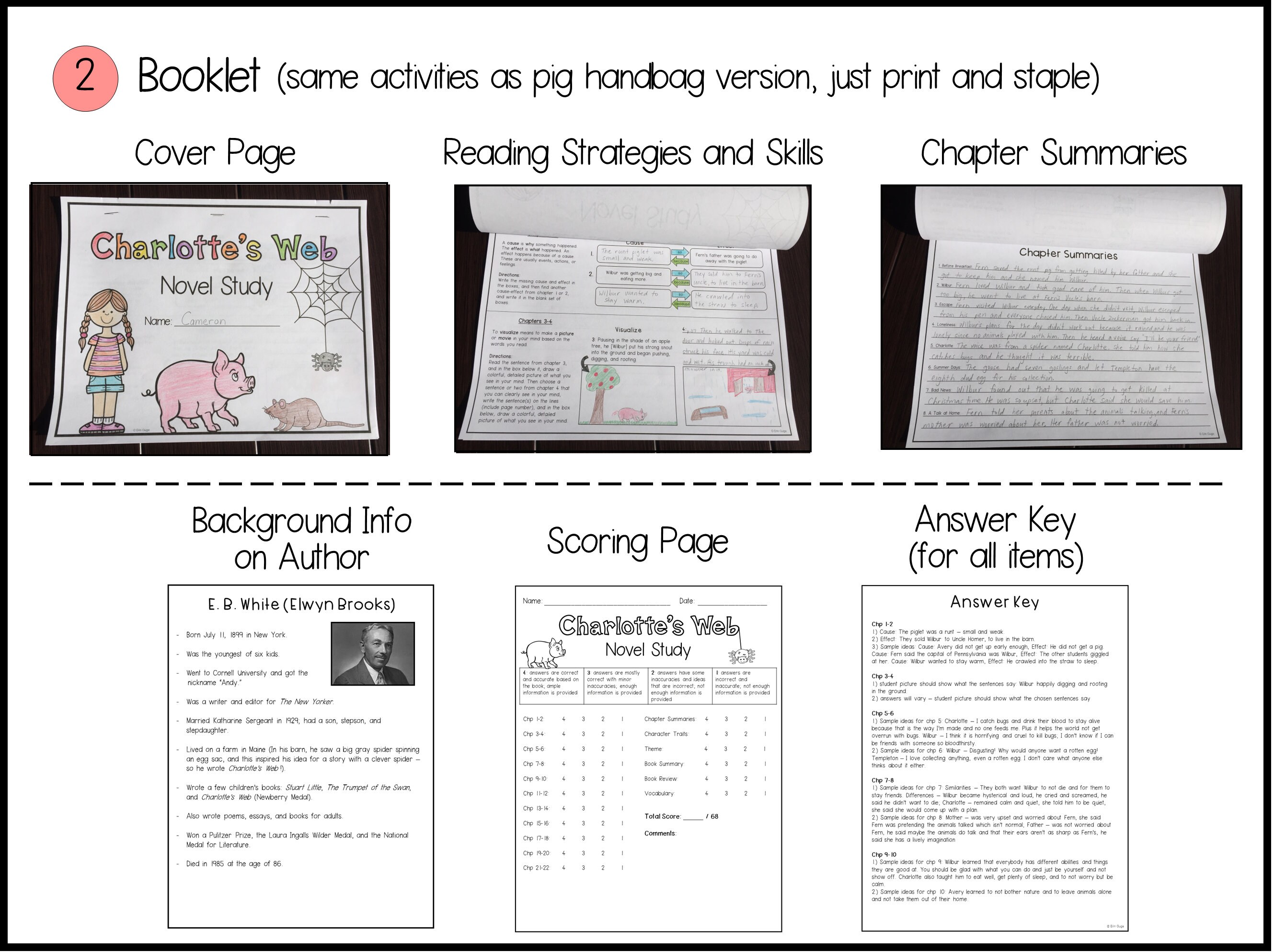 Charlotte's Web: A Unique Novel Study - Etsy