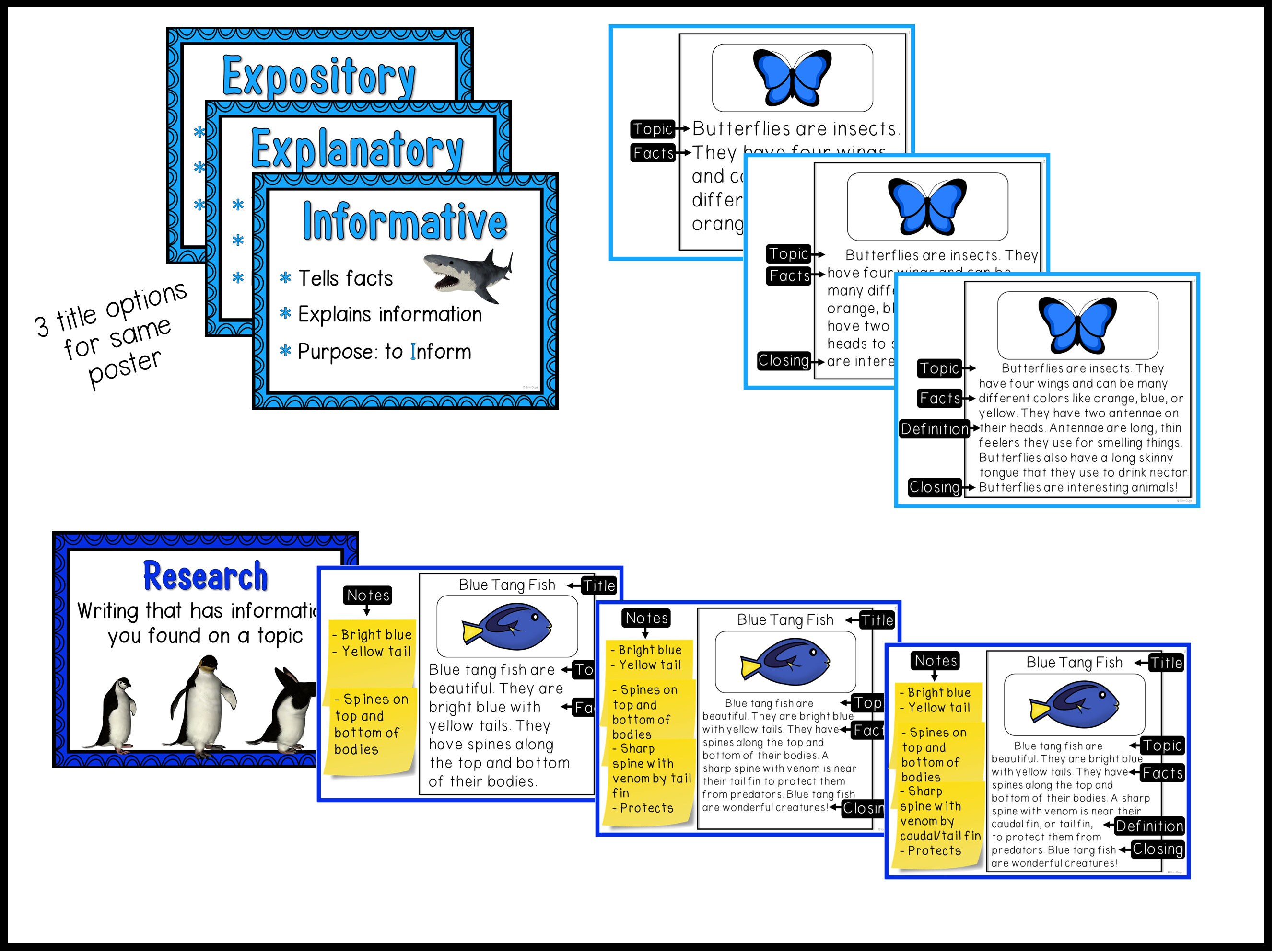 Writing Posters Bundle: Writing Conventions (grammar, Capitalization ...