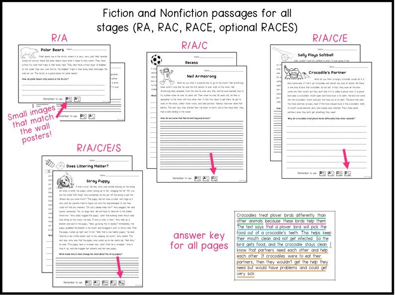 RACE Writing Strategy for Text Dependent Questions 2nd-3rd Grade - Etsy