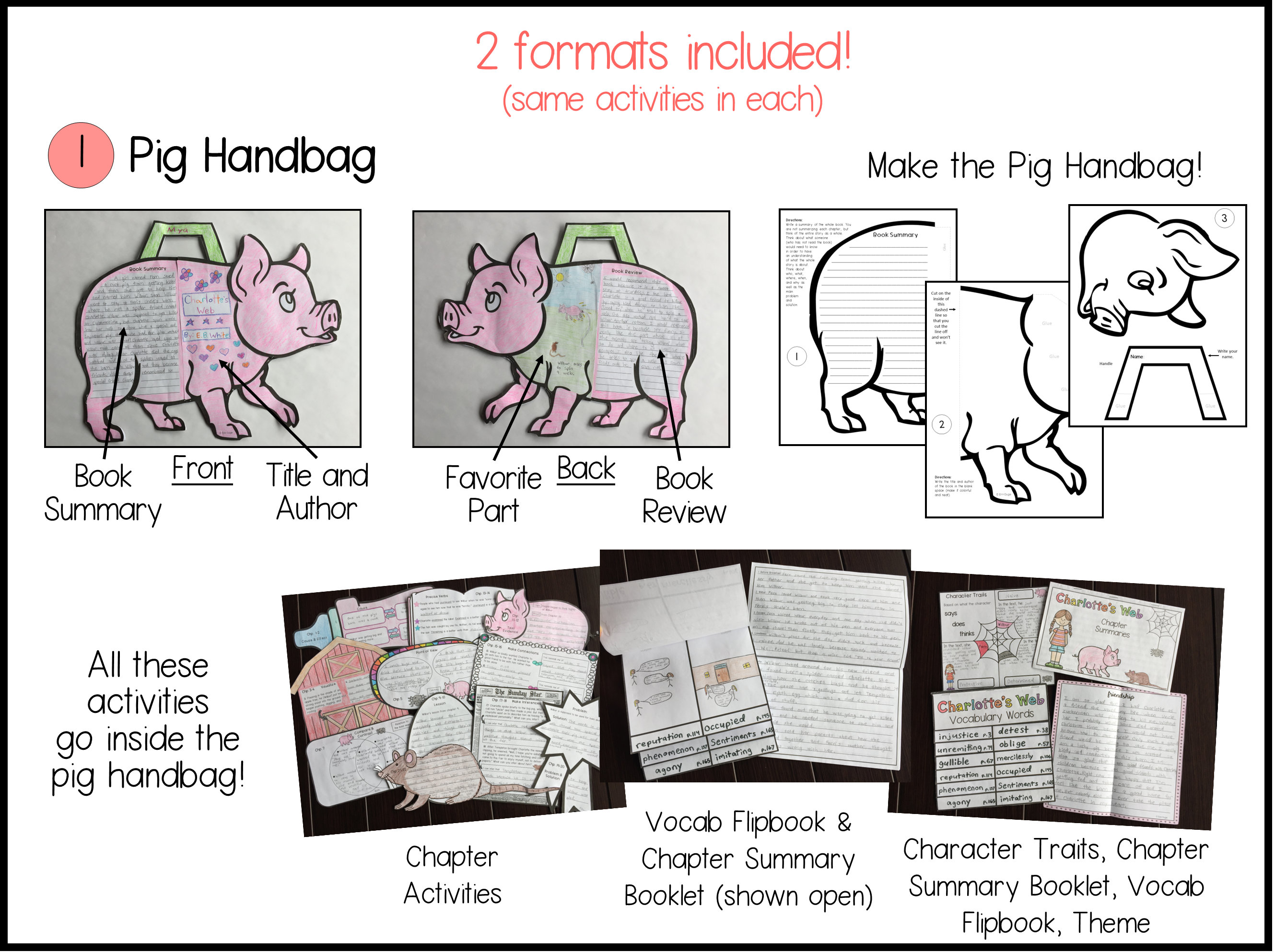 Charlotte's Web: A Unique Novel Study - Etsy