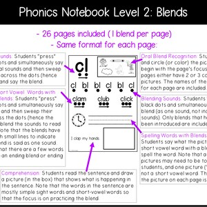 Phonics Notebook Bundle: Letters, Blends, Vowel Teams, Etc. - Etsy
