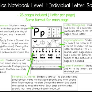 Phonics Notebook Bundle: Letters, Blends, Vowel Teams, Etc. - Etsy