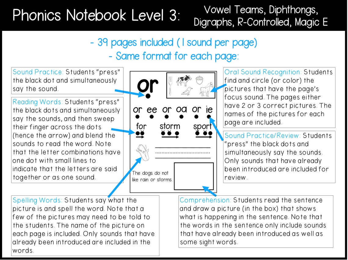 Phonics Notebook Bundle: Letters, Blends, Vowel Teams, Etc. - Etsy