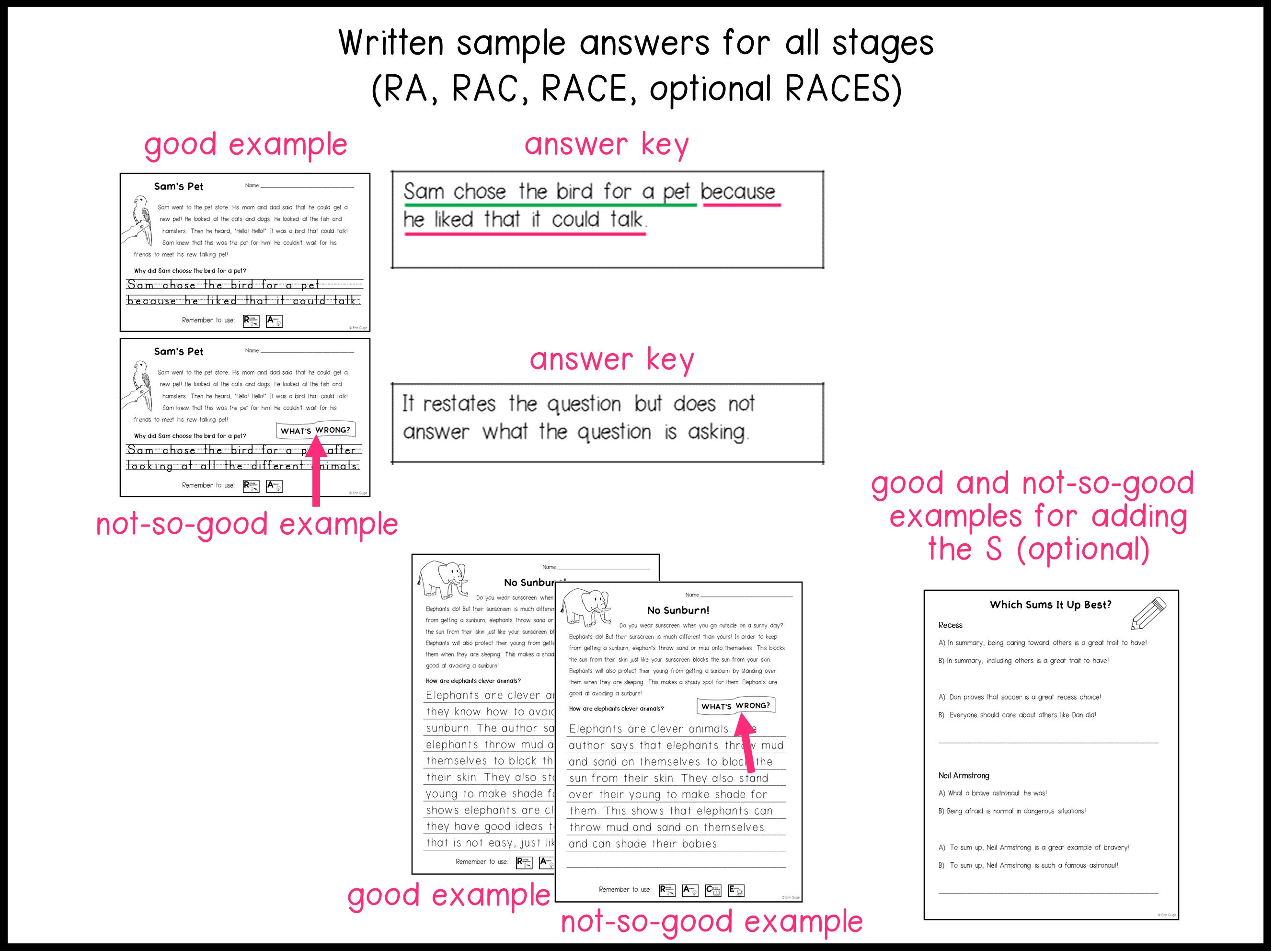 RACE Writing Strategy for Text Dependent Questions 2nd-3rd Grade - Etsy