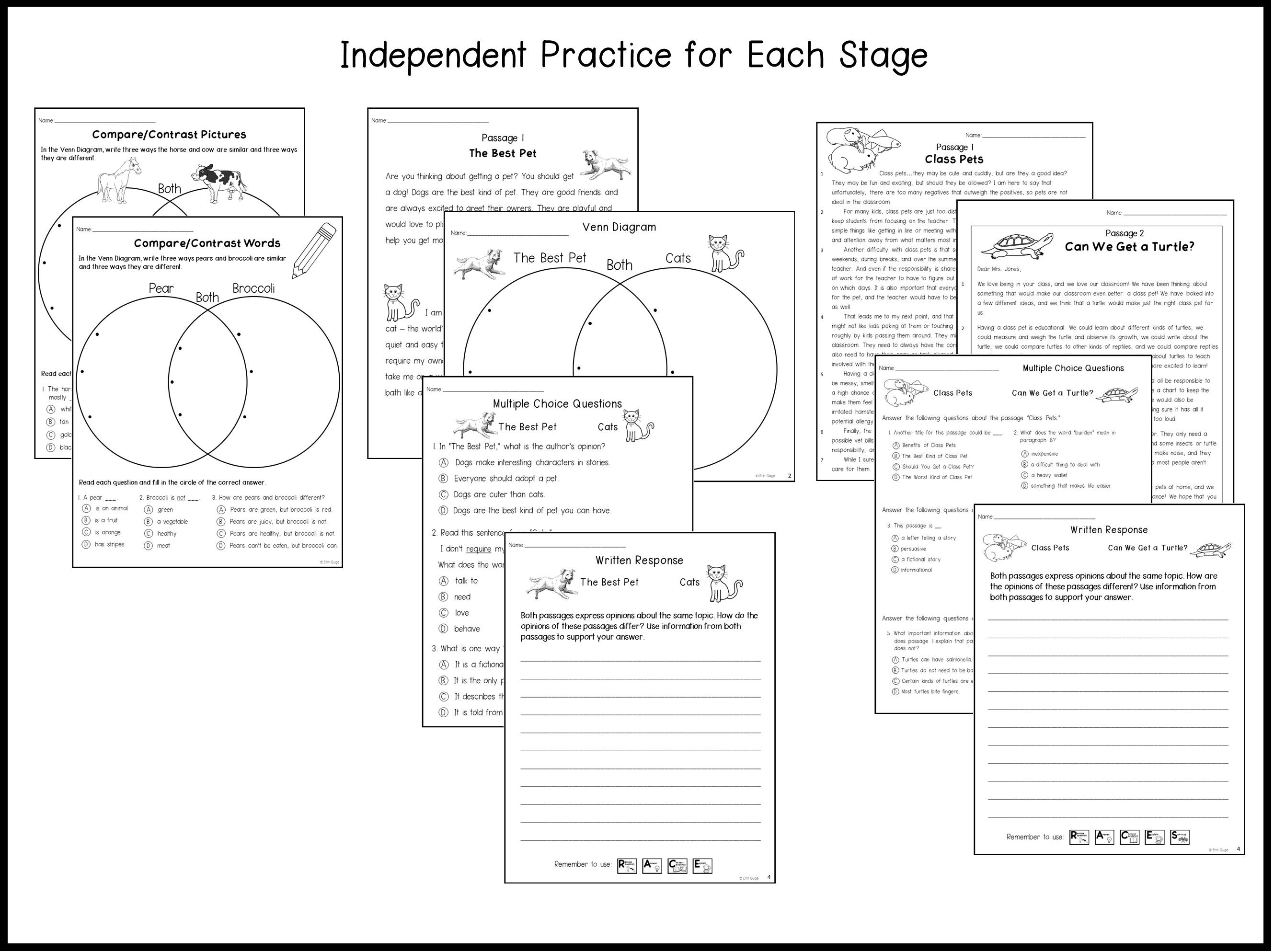 Paired Passages Using the RACE Writing Strategy - Etsy