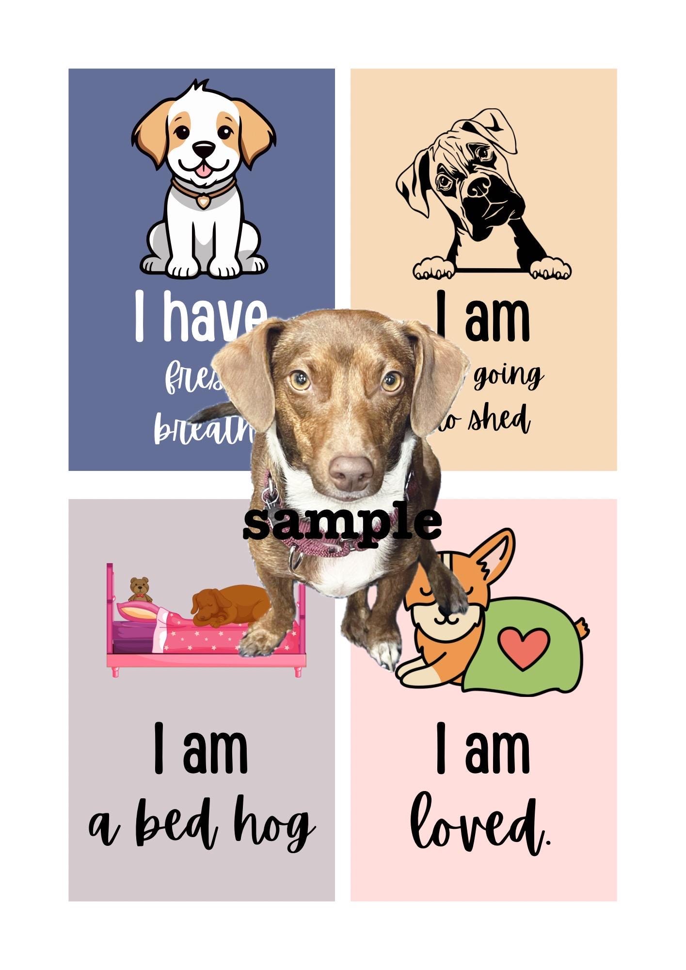 Affirmation Cards for Dogs - Etsy