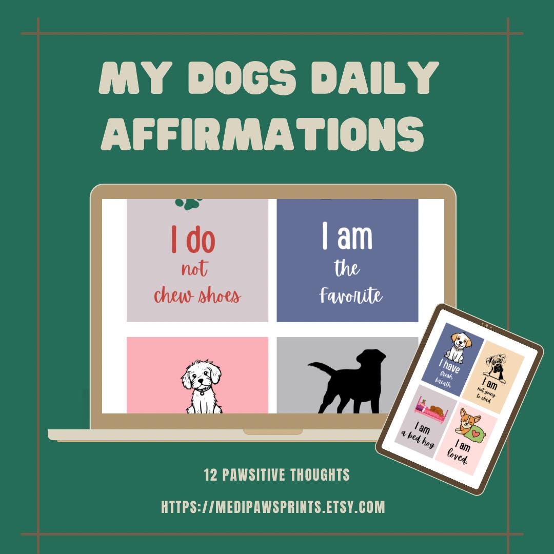 Affirmation Cards for Dogs - Etsy