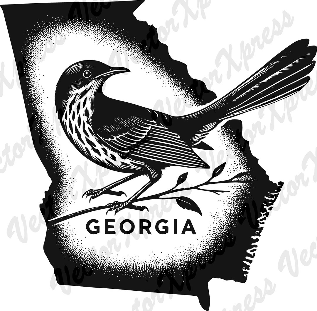 State of Georgia Vector Graphic Silhouette With Brown Thrasher - Etsy