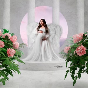 Digital Backdrops, Maternity Backdrop Overlays, Studio Backdrop ...