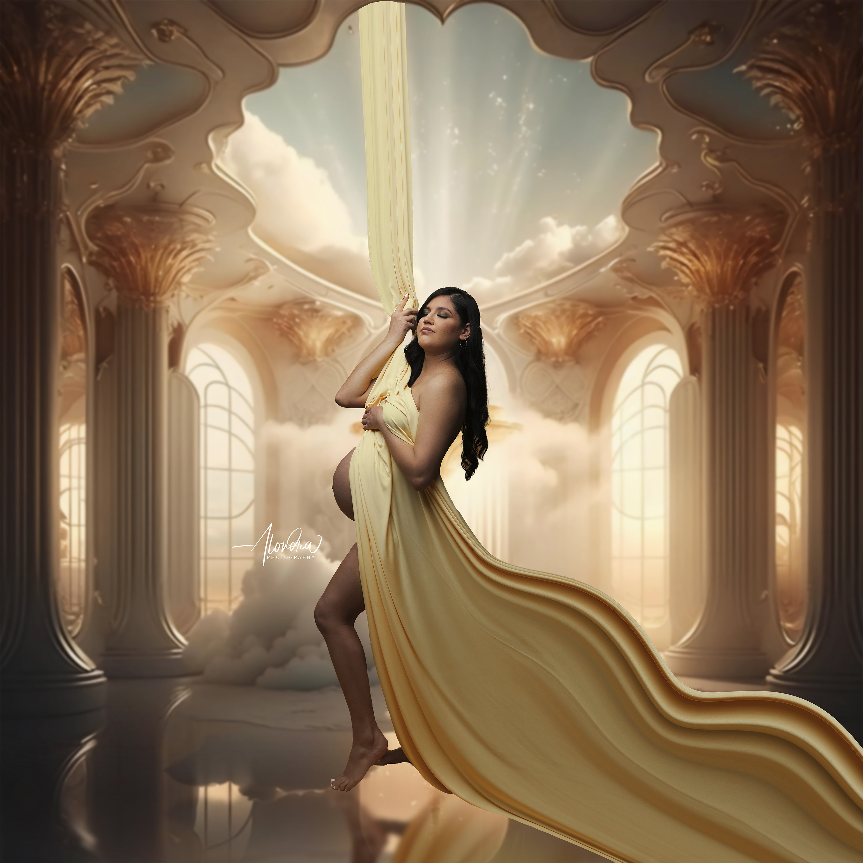 Digital Backdrops, Maternity Backdrop Overlays, Studio Backdrop ...