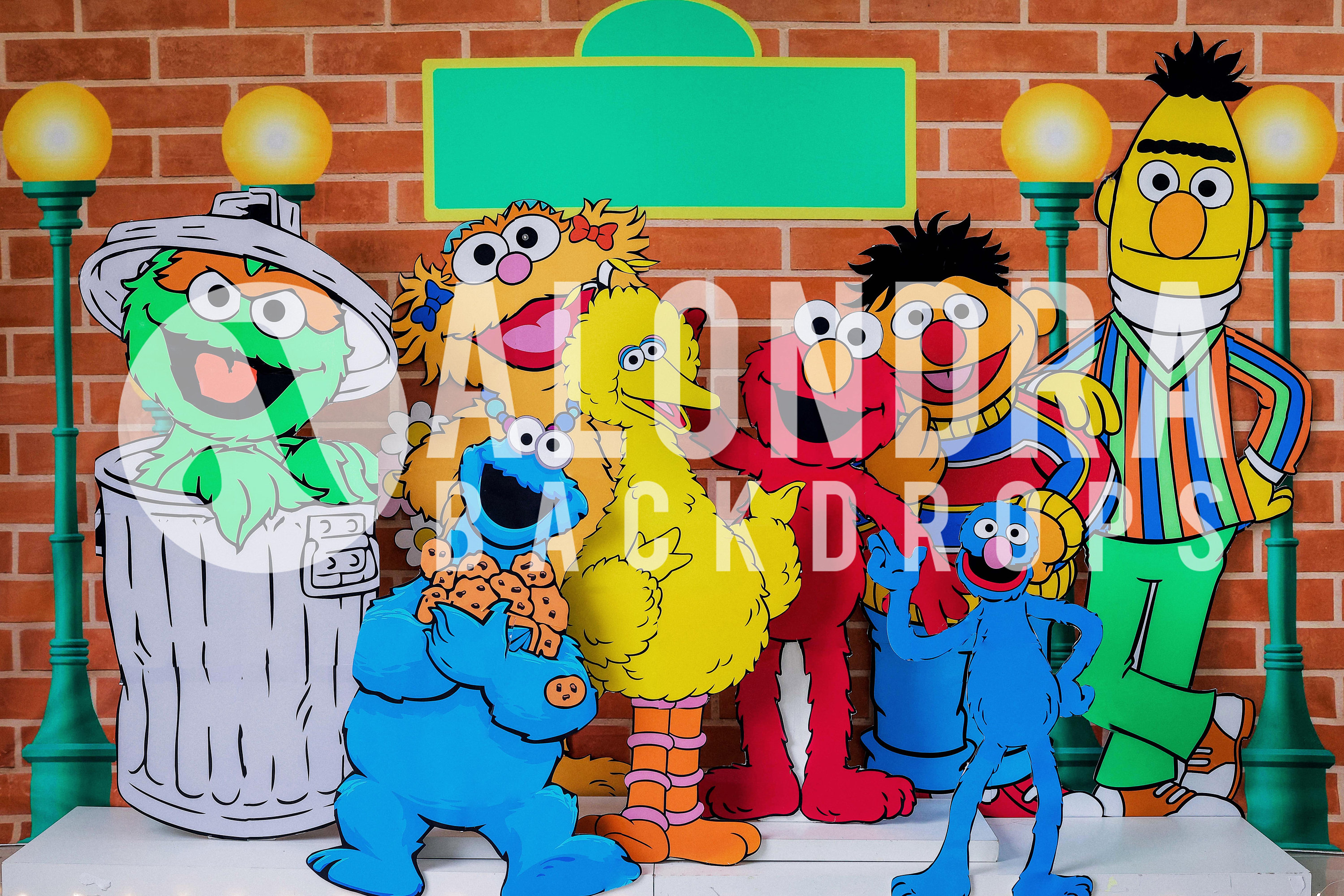 Sesame Street-fabric Backdrop-alondra Backdrops - Etsy