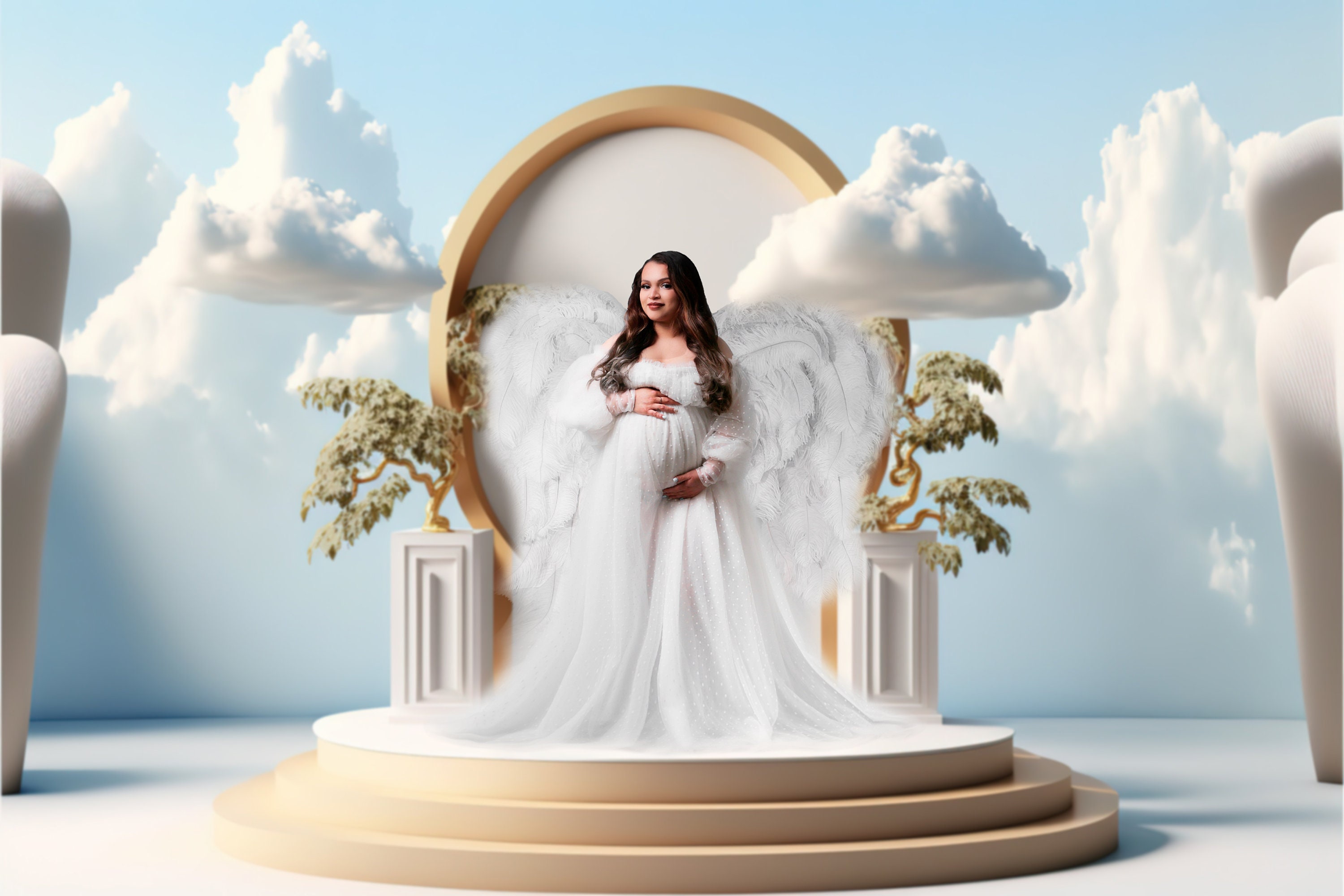 Digital Backdrops, Maternity Backdrop Overlays, Studio Backdrop ...