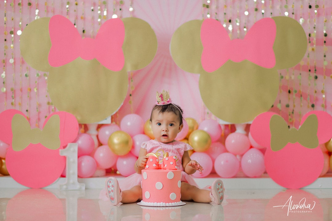 Minnie Mouse Rose and Gold Backdrop - Etsy