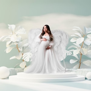 Digital Backdrops, Maternity Backdrop Overlays, Studio Backdrop ...