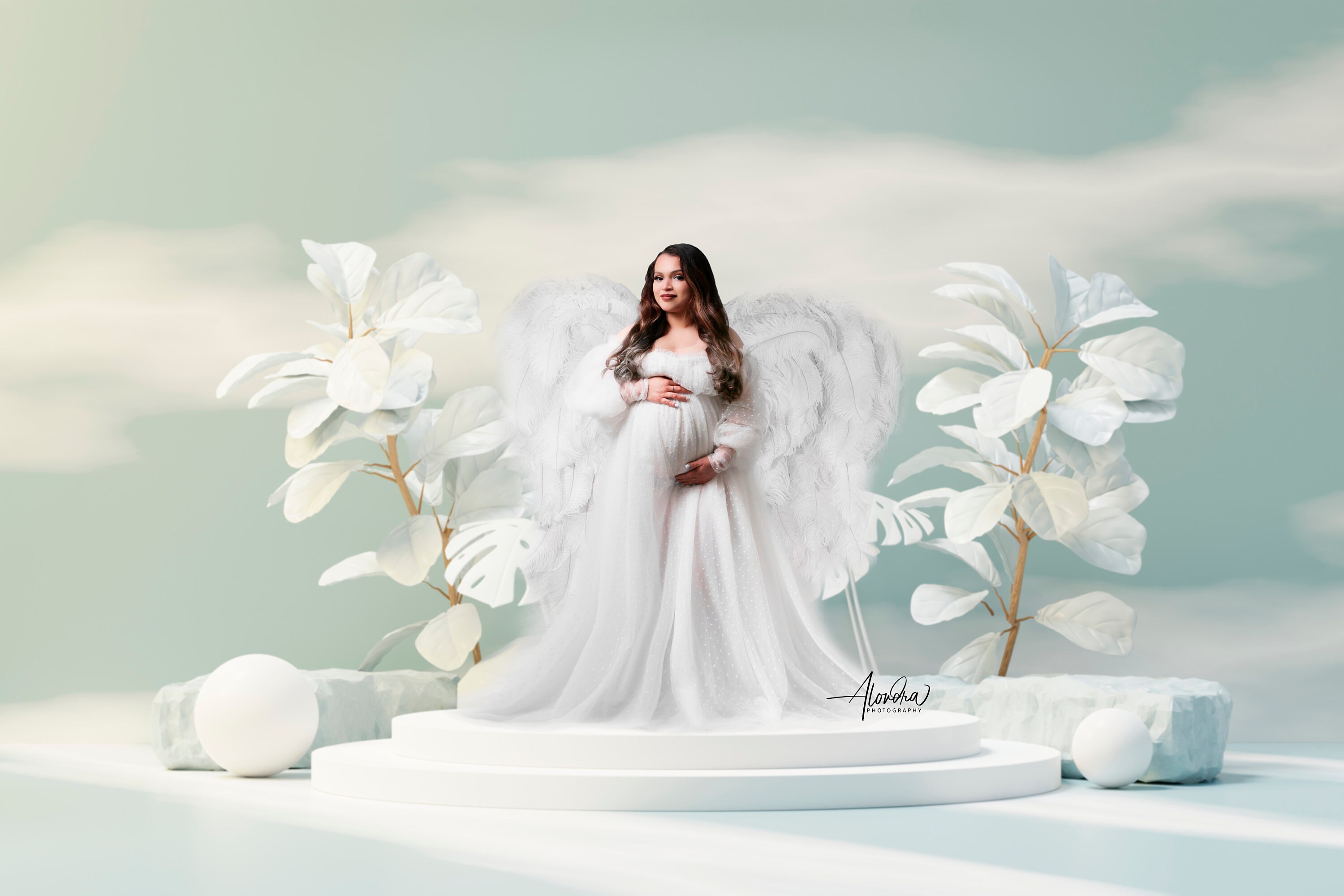 Digital Backdrops, Maternity Backdrop Overlays, Studio Backdrop ...