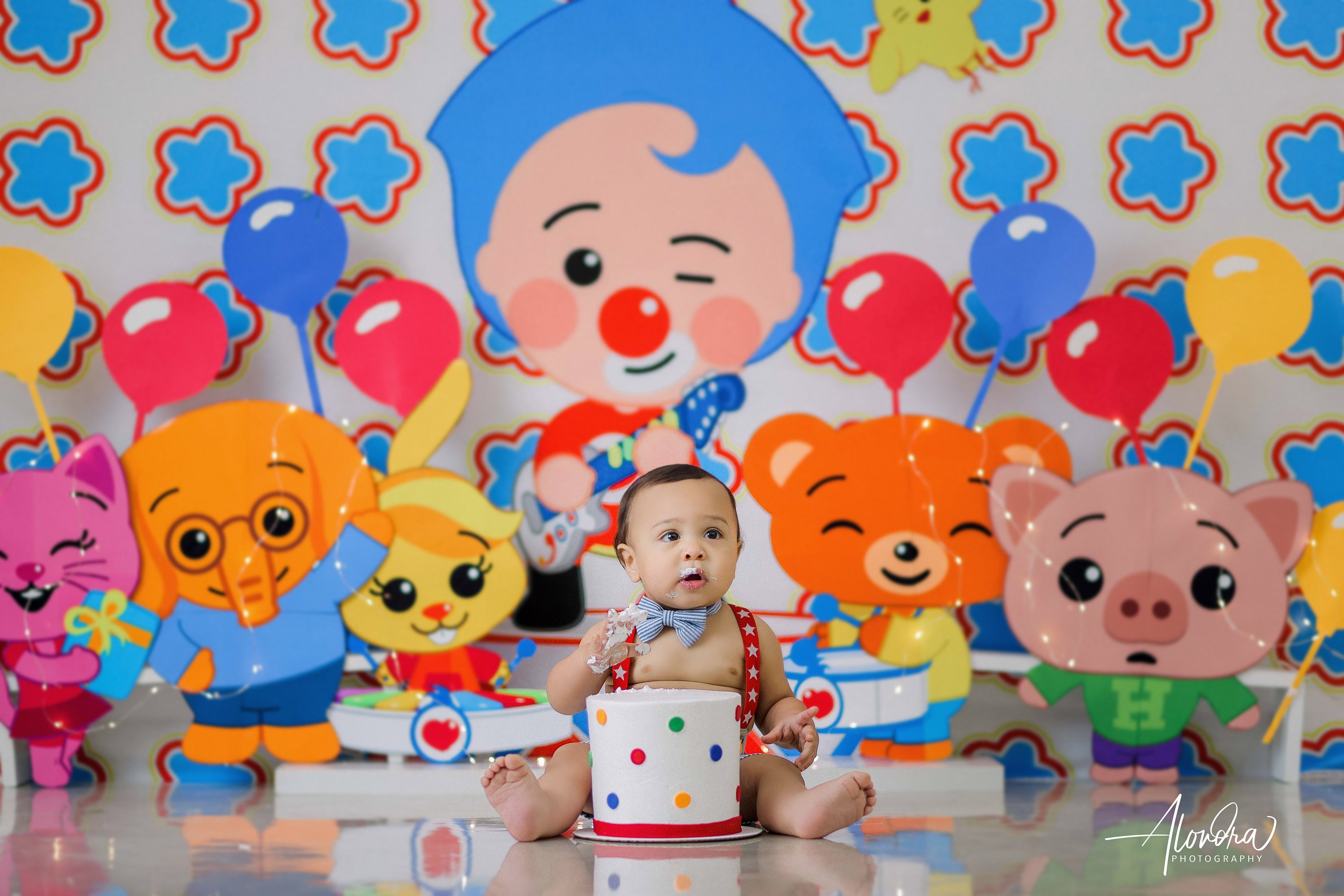 Plim Plim-fabric Backdrop-alondra Backdrops - Etsy