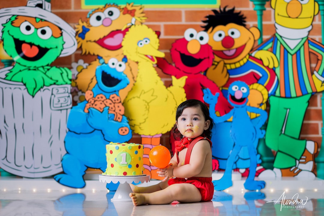 Sesame Street-fabric Backdrop-alondra Backdrops - Etsy