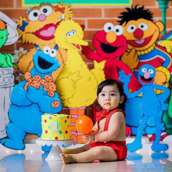 Sesame Street Backdrop - Etsy