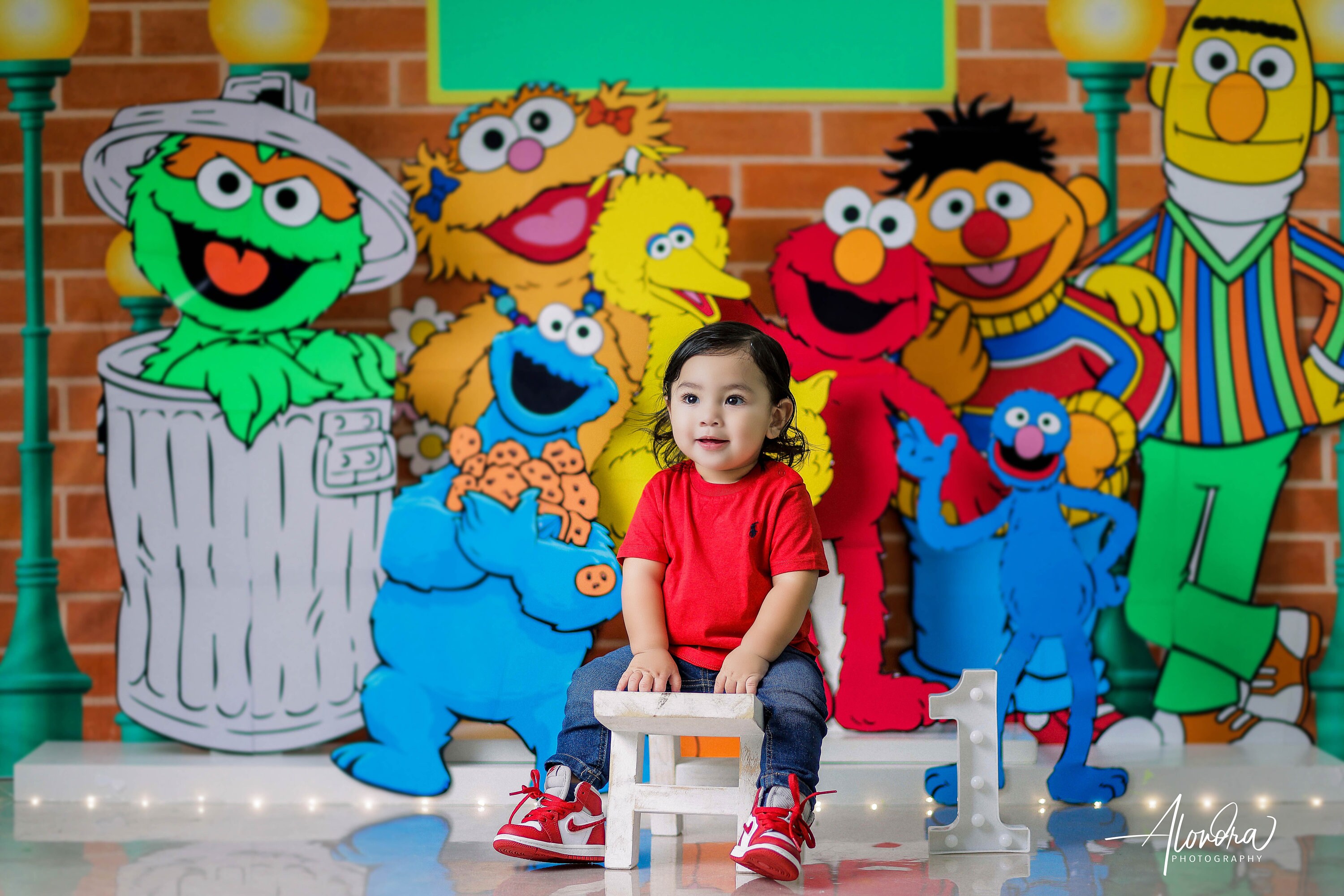 Sesame Street-fabric Backdrop-alondra Backdrops - Etsy