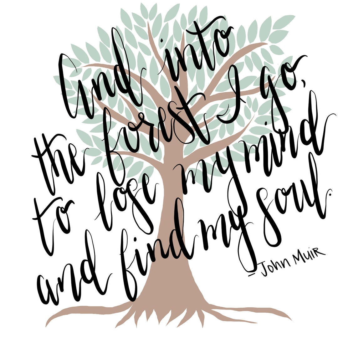 John Muir Quote Digital Download, Tree Wall Mural, Nature Quote, Room ...