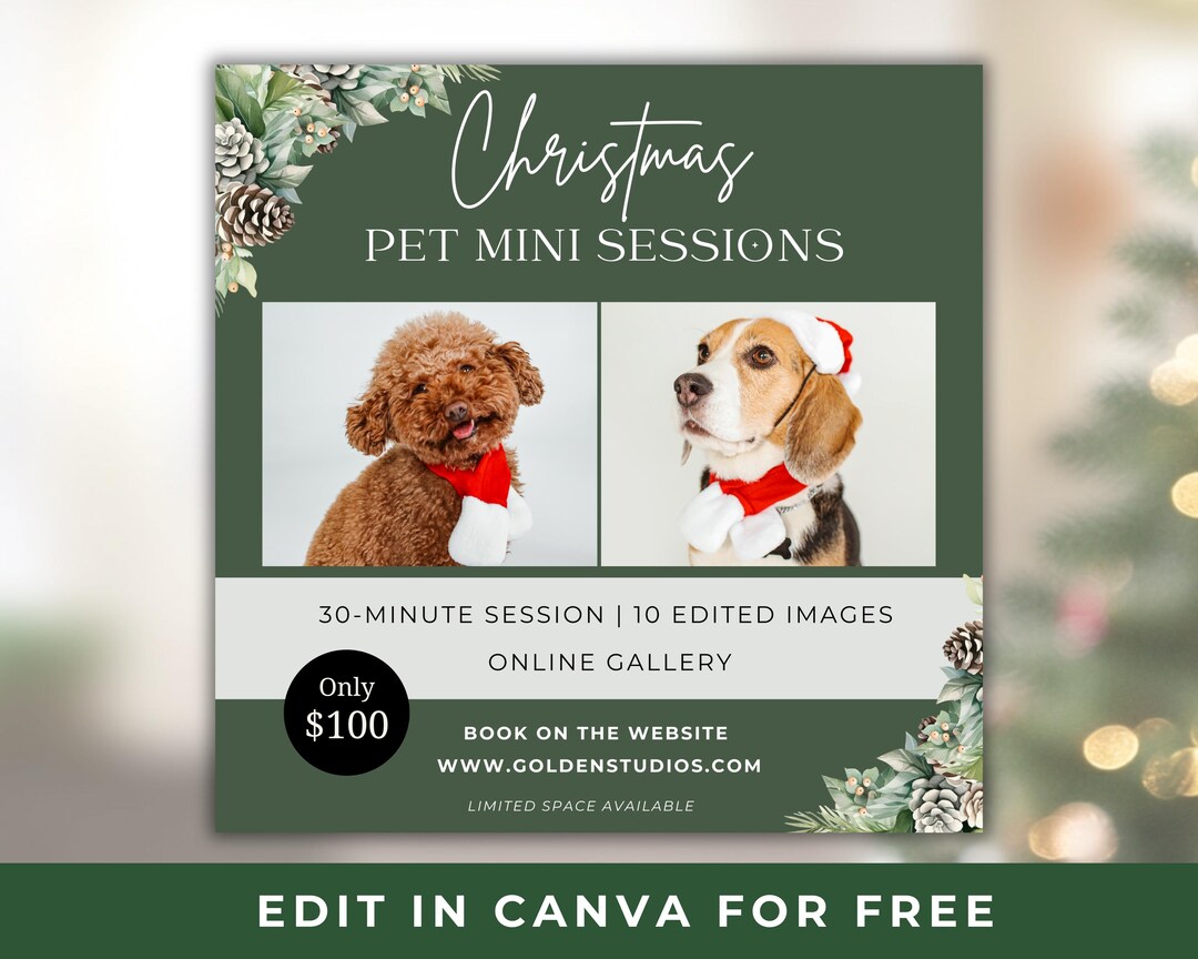 Christmas Pet Mini Sessions Template, Holiday Marketing Flyer ...