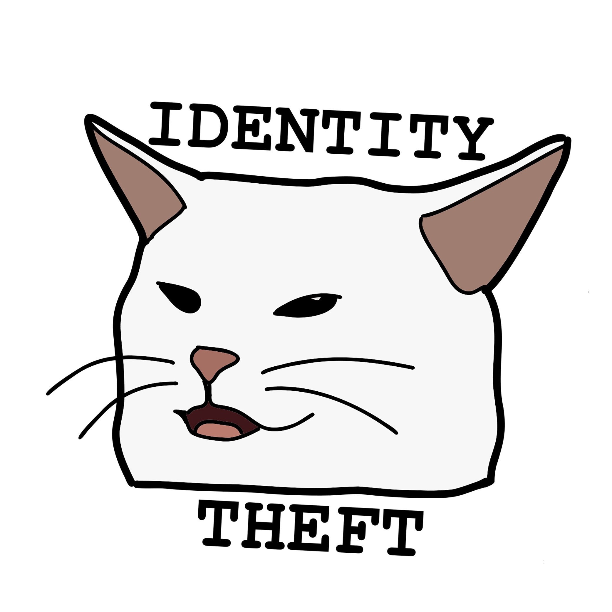 Identity Theft Meme Cat Sticker - Etsy
