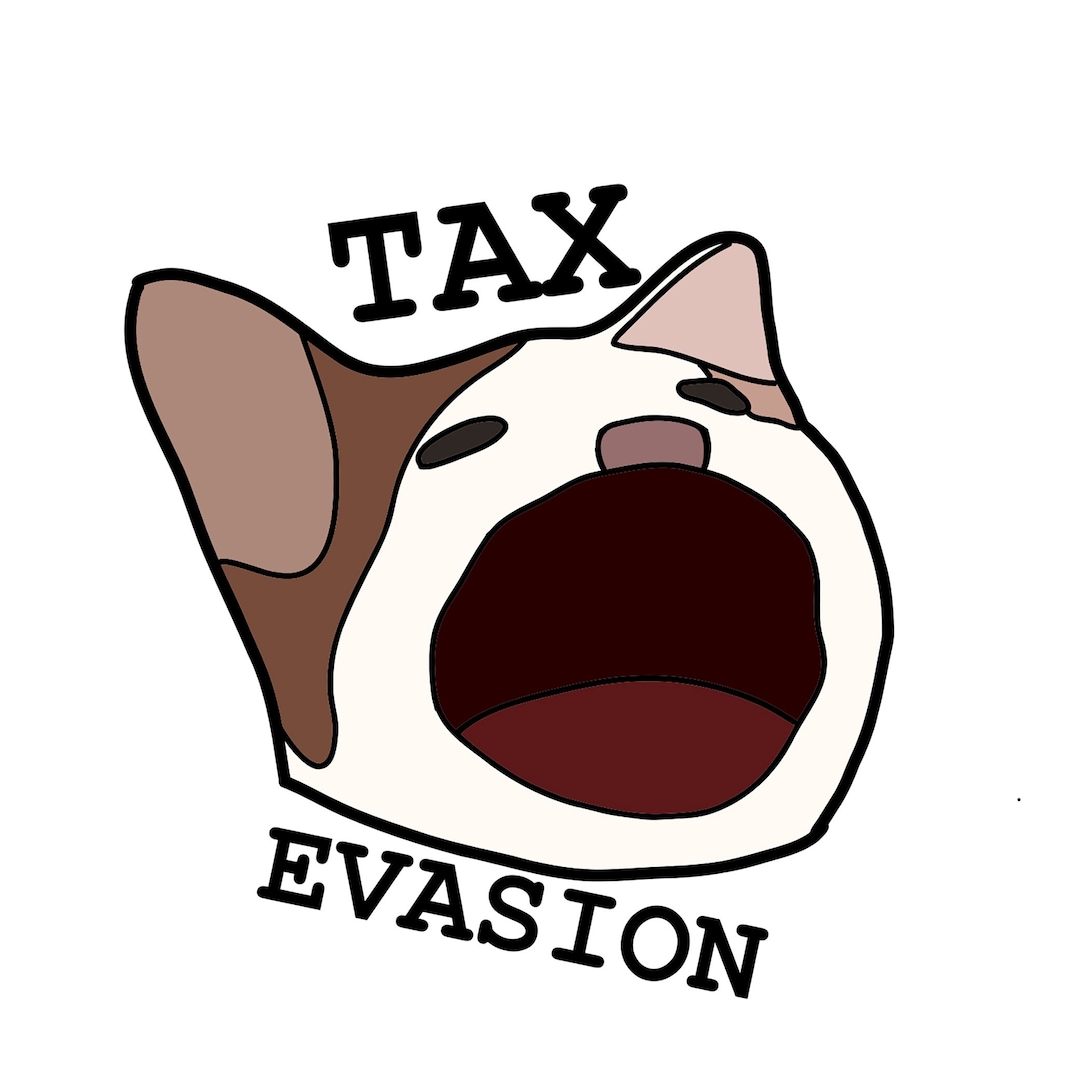 Tax Evasion Meme Cat Sticker - Etsy