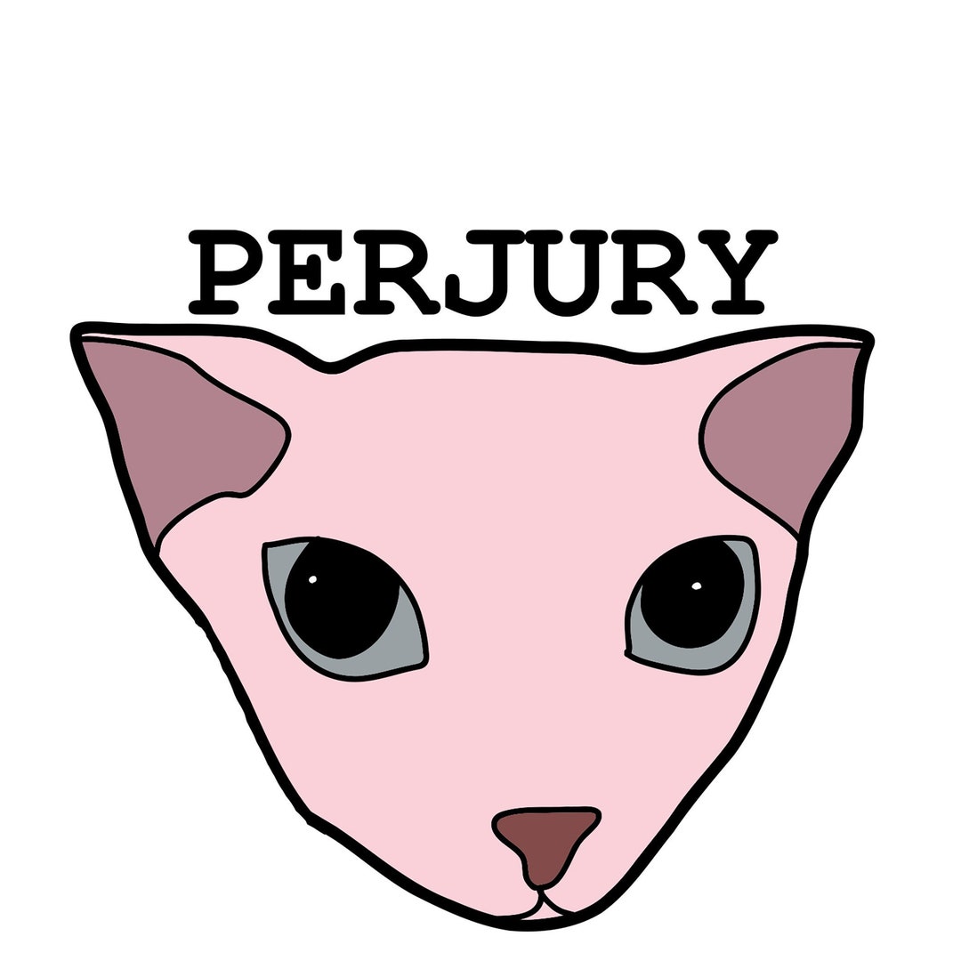 Perjury Meme Cat Sticker - Etsy