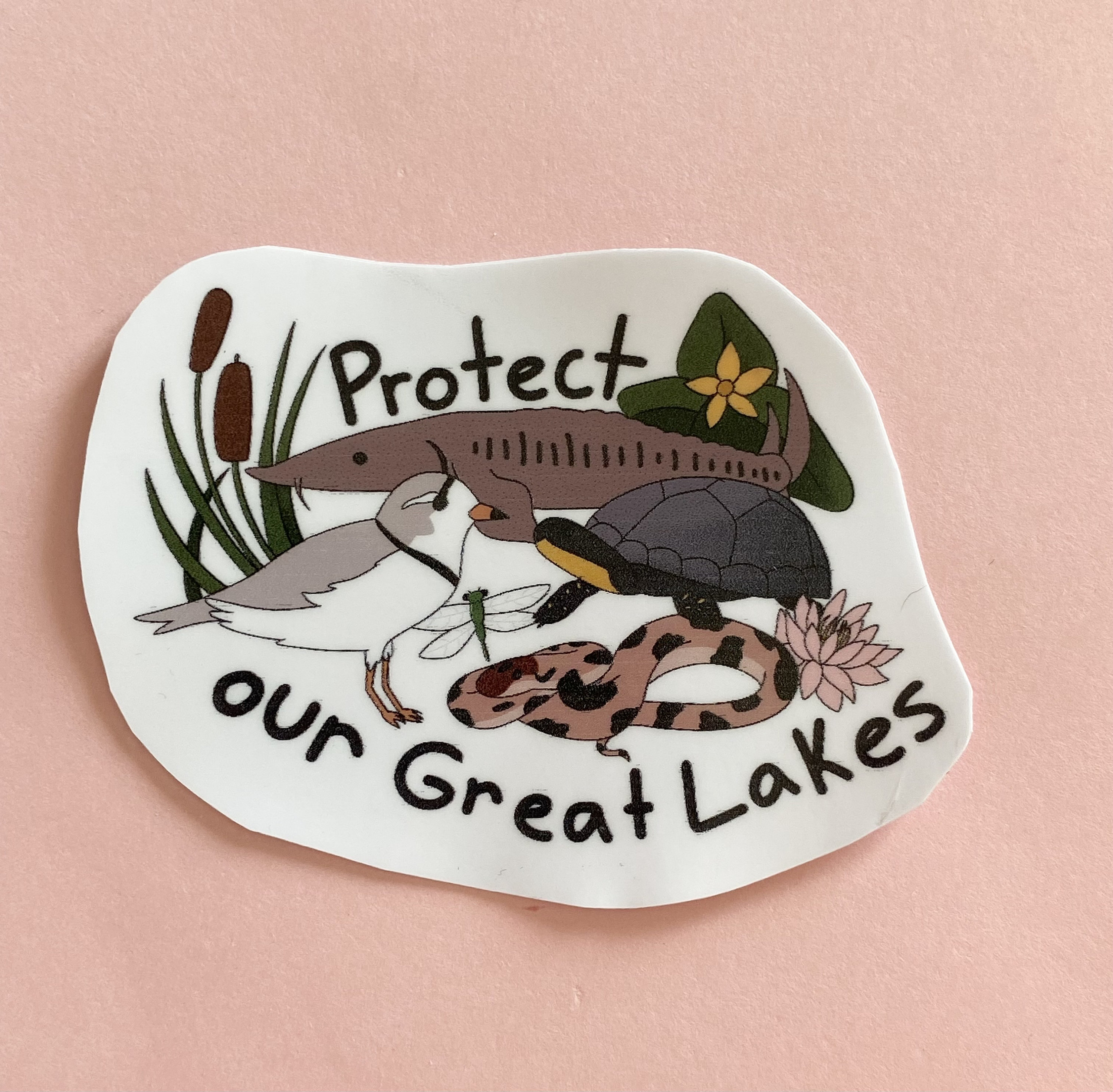 Great Lakes Conservation Sticker: Endangered Species - Etsy