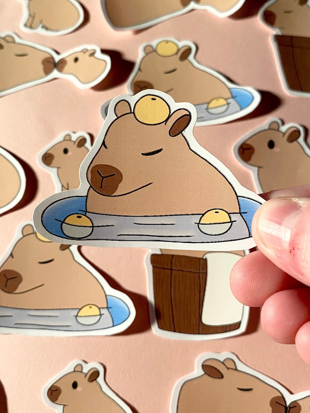 Capybara Sticker Set - Etsy