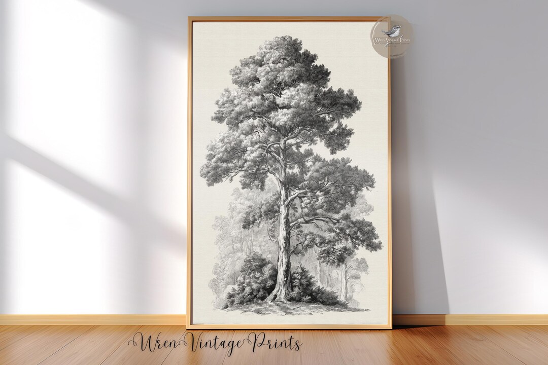 Pencil Sketch Style Tree Art | Set of (3) Botanical Forest Art - Etsy