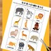 Safari Memory Game, Activity for Toddler, Preschool Game, Matching Game ...