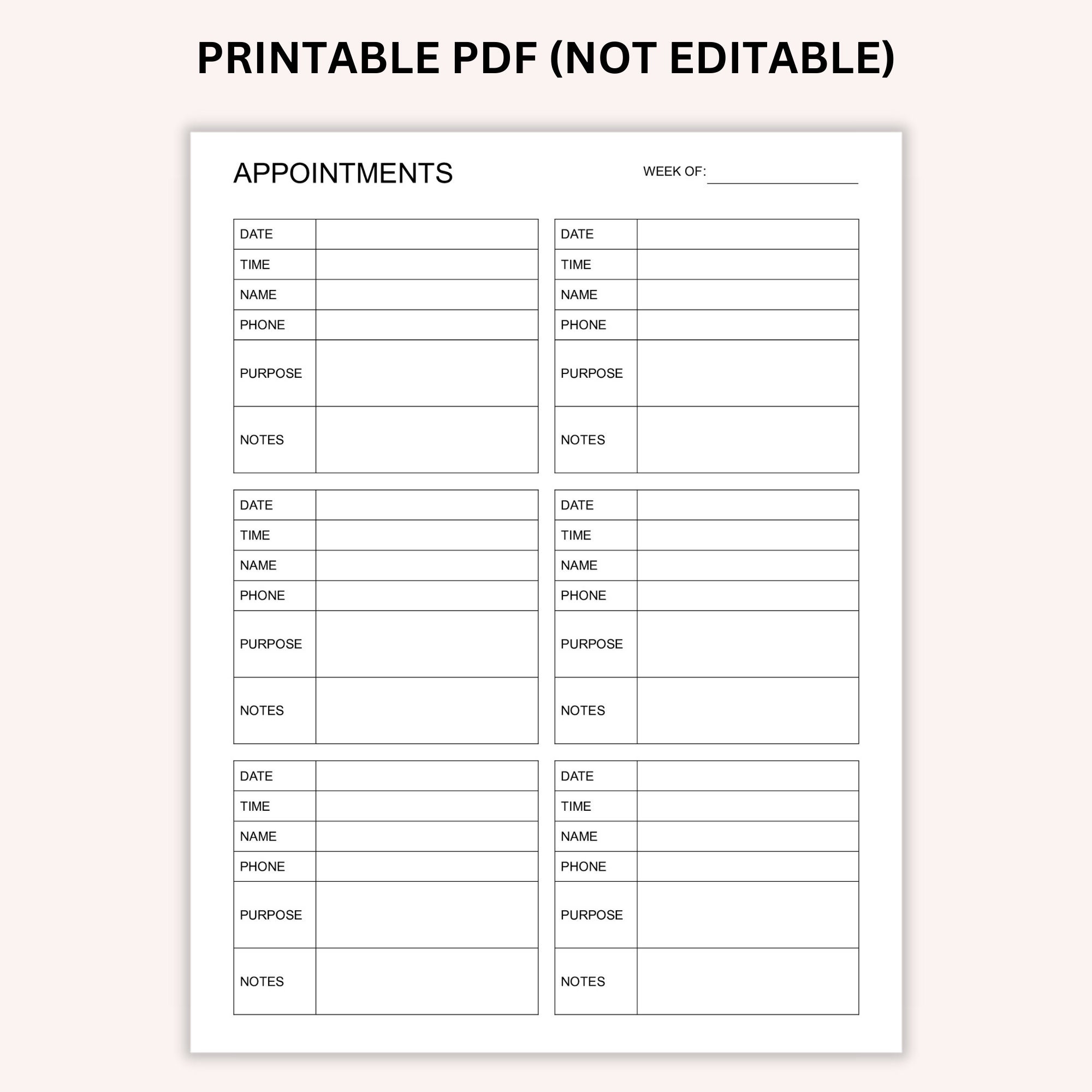 Editable Appointment Tracker, Printable Appointment Reminder, Client ...