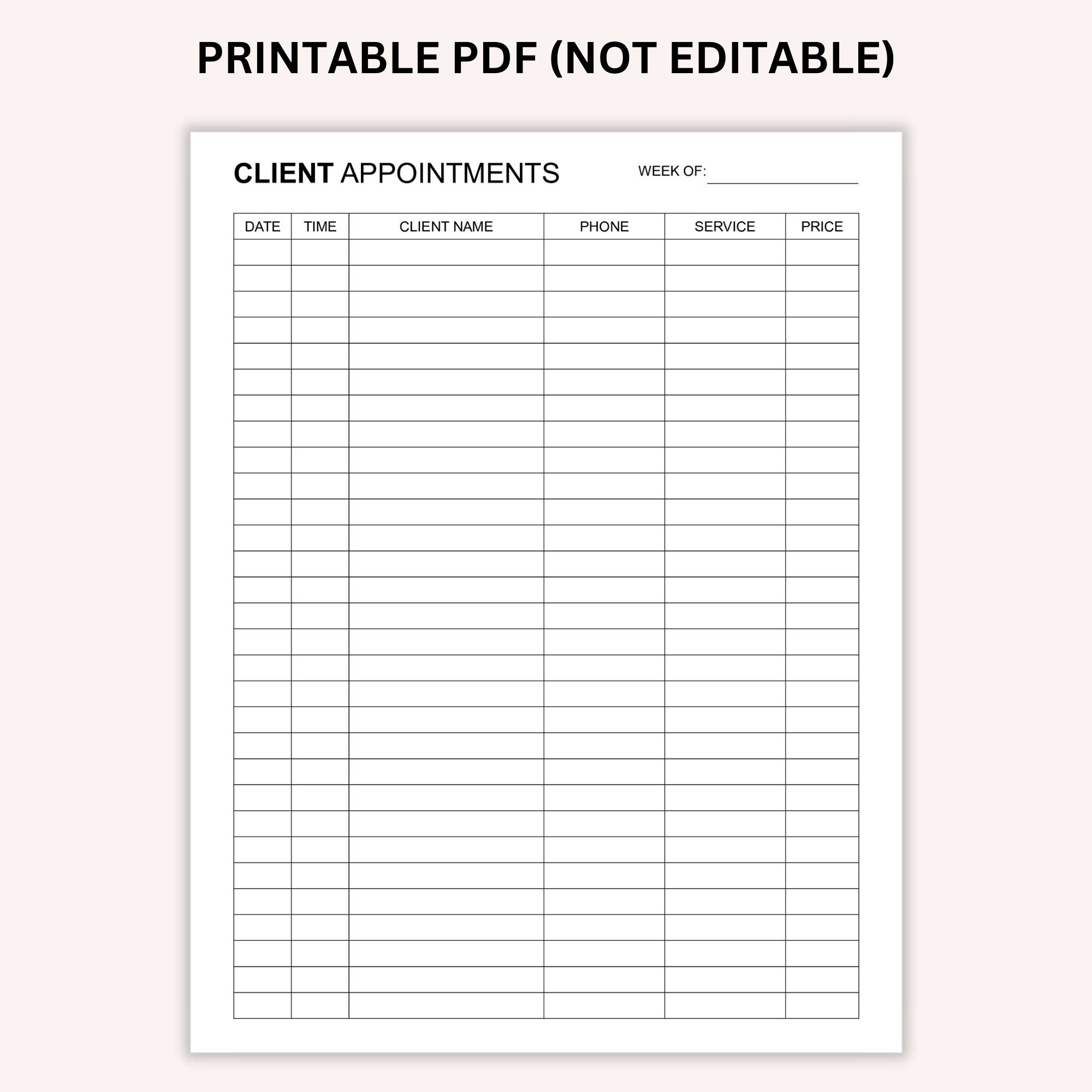 Editable Client Appointment Tracker, Printable Appointment Reminder ...