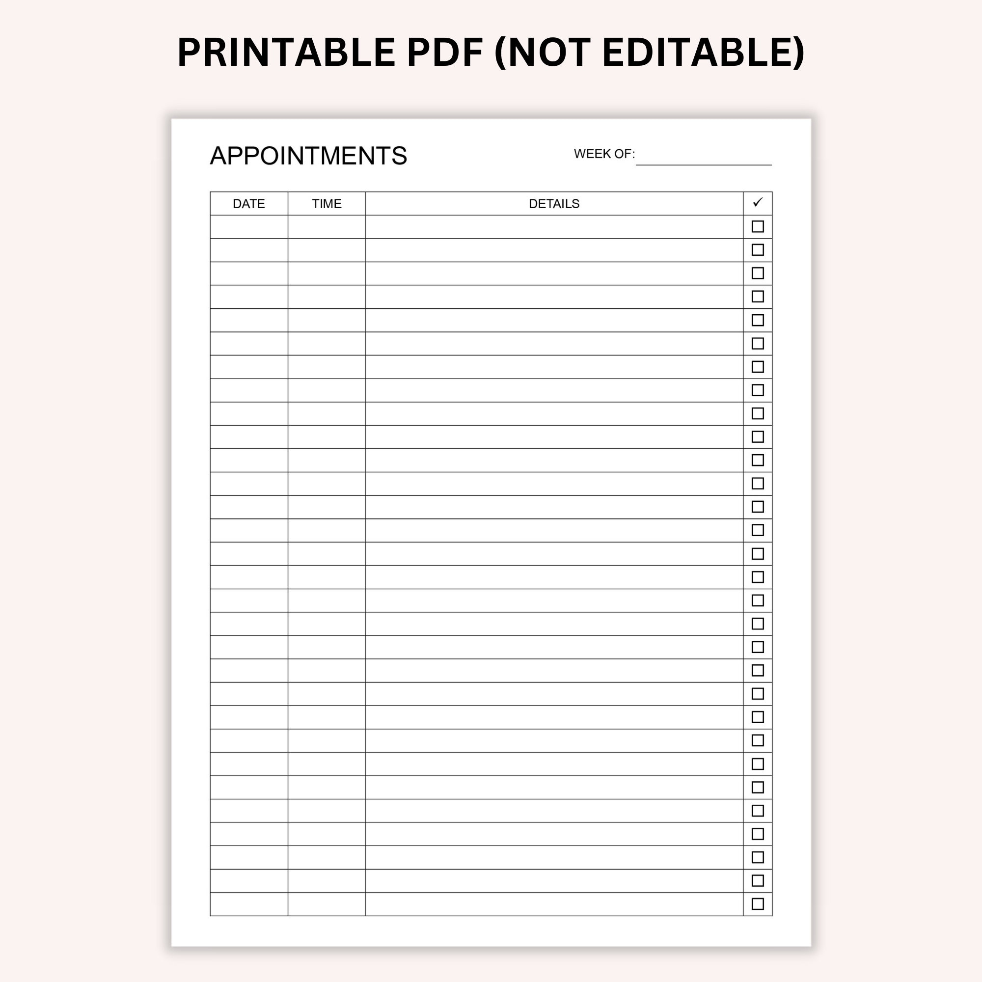 Editable Appointment Tracker, Printable Appointment Diary, Meeting ...
